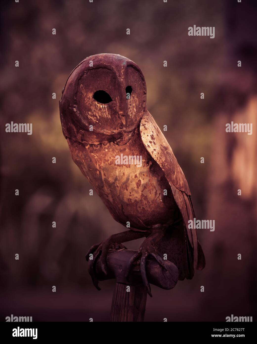 Metal owl hi-res stock photography and images - Alamy