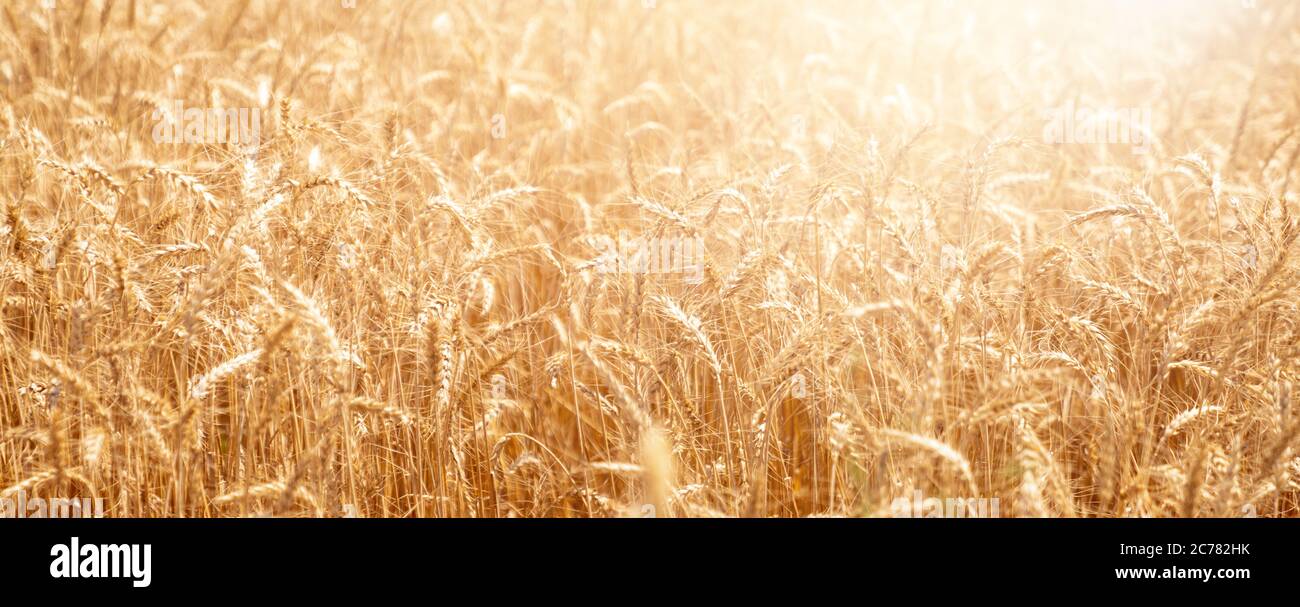 Nice field hi-res stock photography and images - Alamy