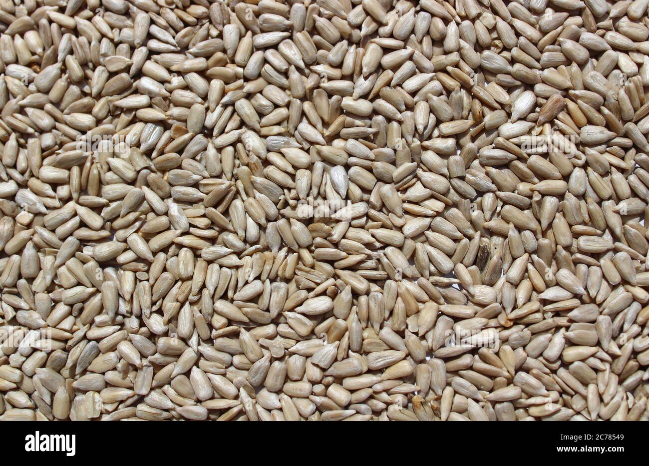 The picture shows a background with sunflower seed Stock Photo - Alamy