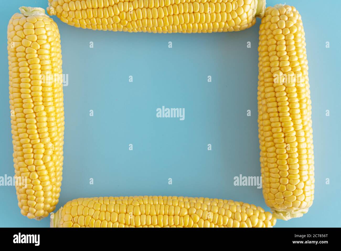 vegetables and fruits, agriculture, gastronomy, harvest concept ...