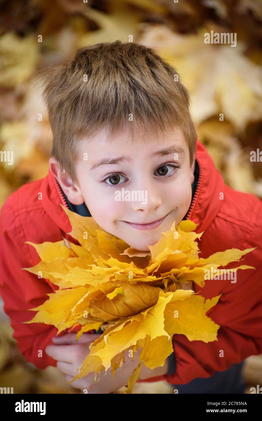 Cute boy with a bouquet of autumn leaves stands and looks up. Top view ...