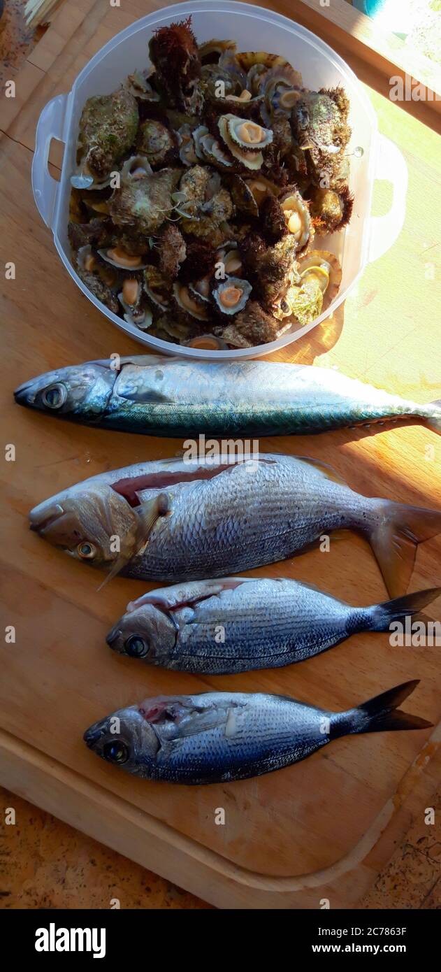 Fish macro hi-res stock photography and images - Alamy