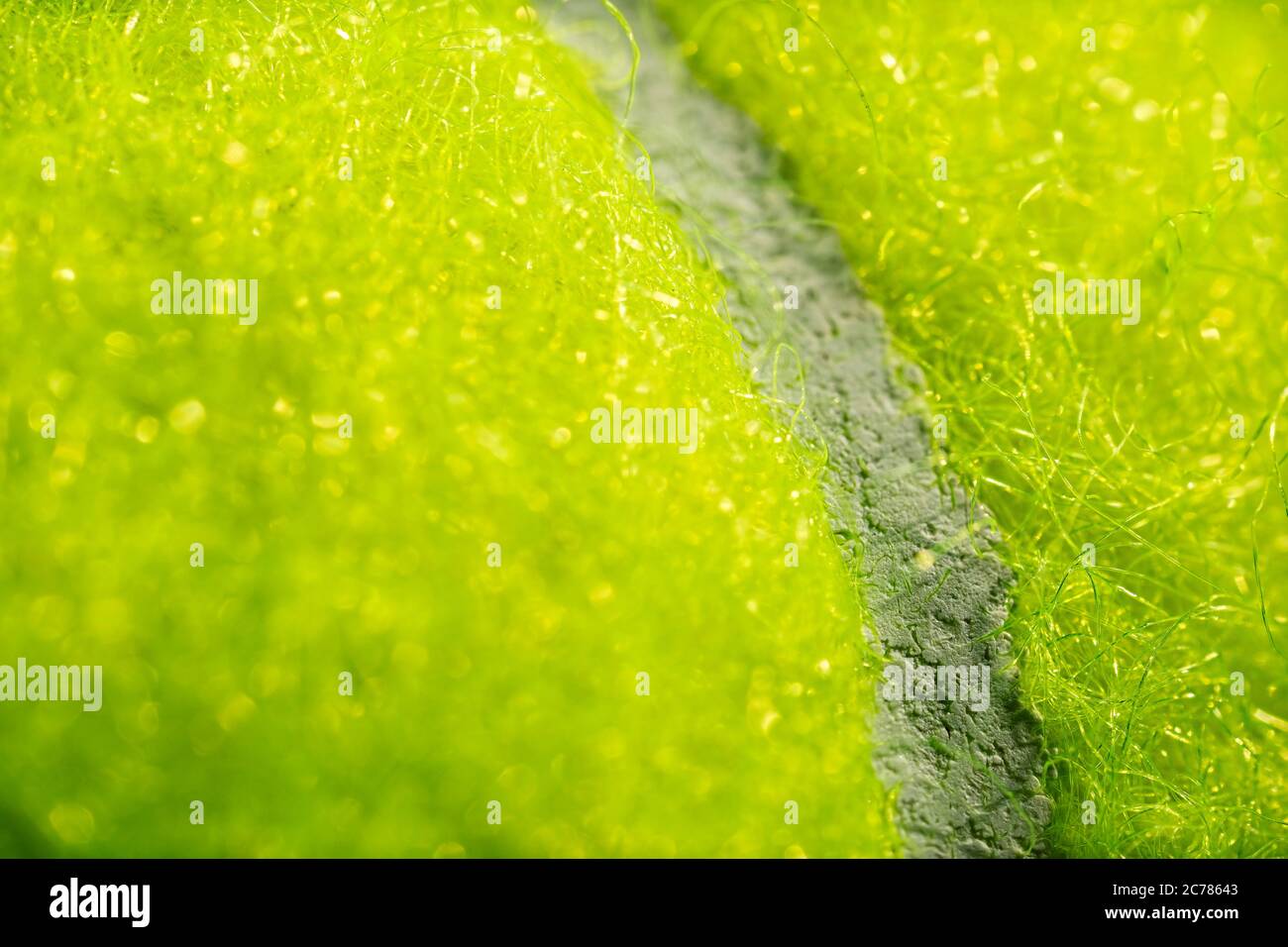Extreme macro photo of a tennis ball. Sports background Stock Photo - Alamy