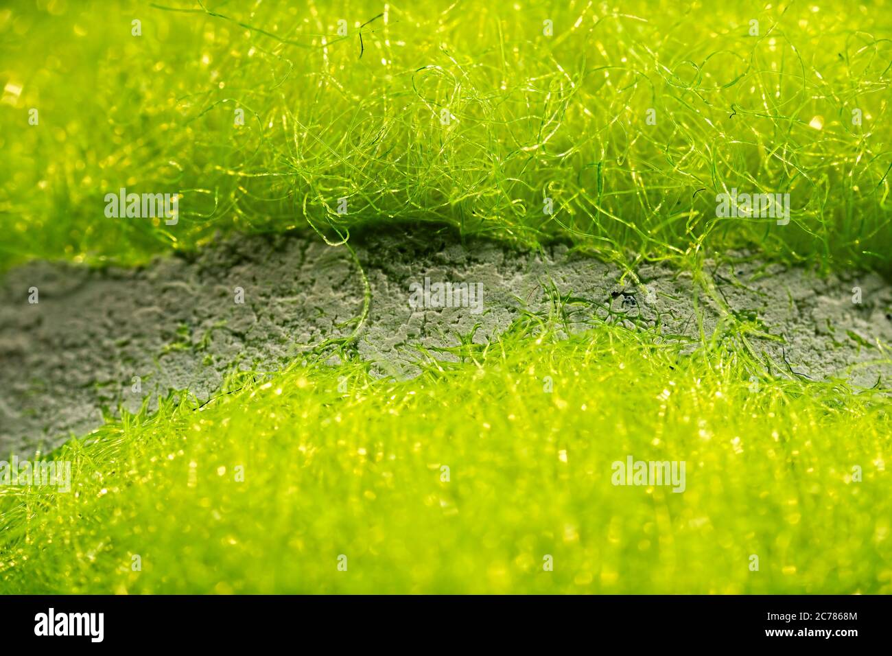 Extreme macro photo of a tennis ball. Sports background Stock Photo - Alamy