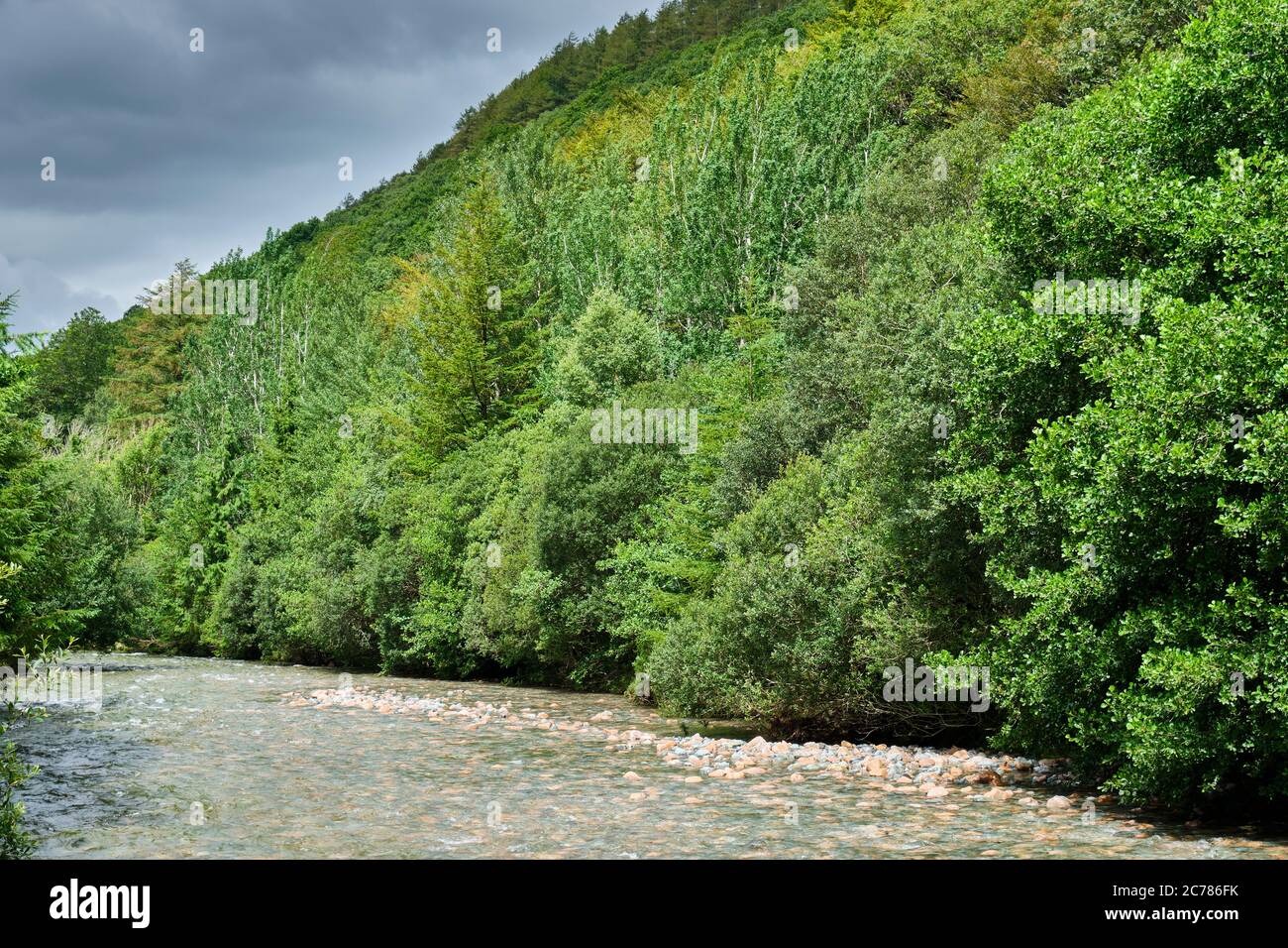 Liza hi-res stock photography and images - Alamy