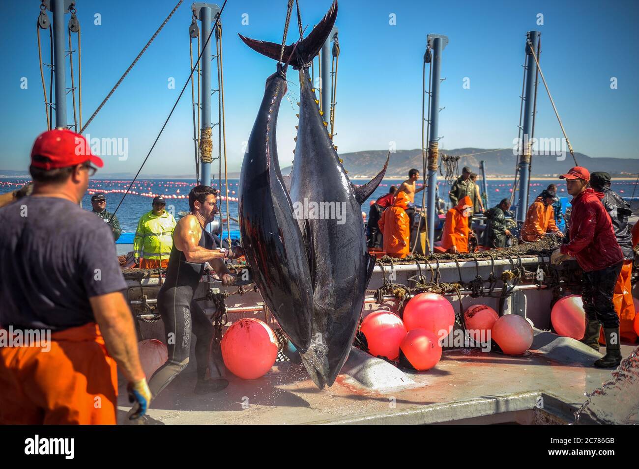 Comida japon hi-res stock photography and images - Alamy