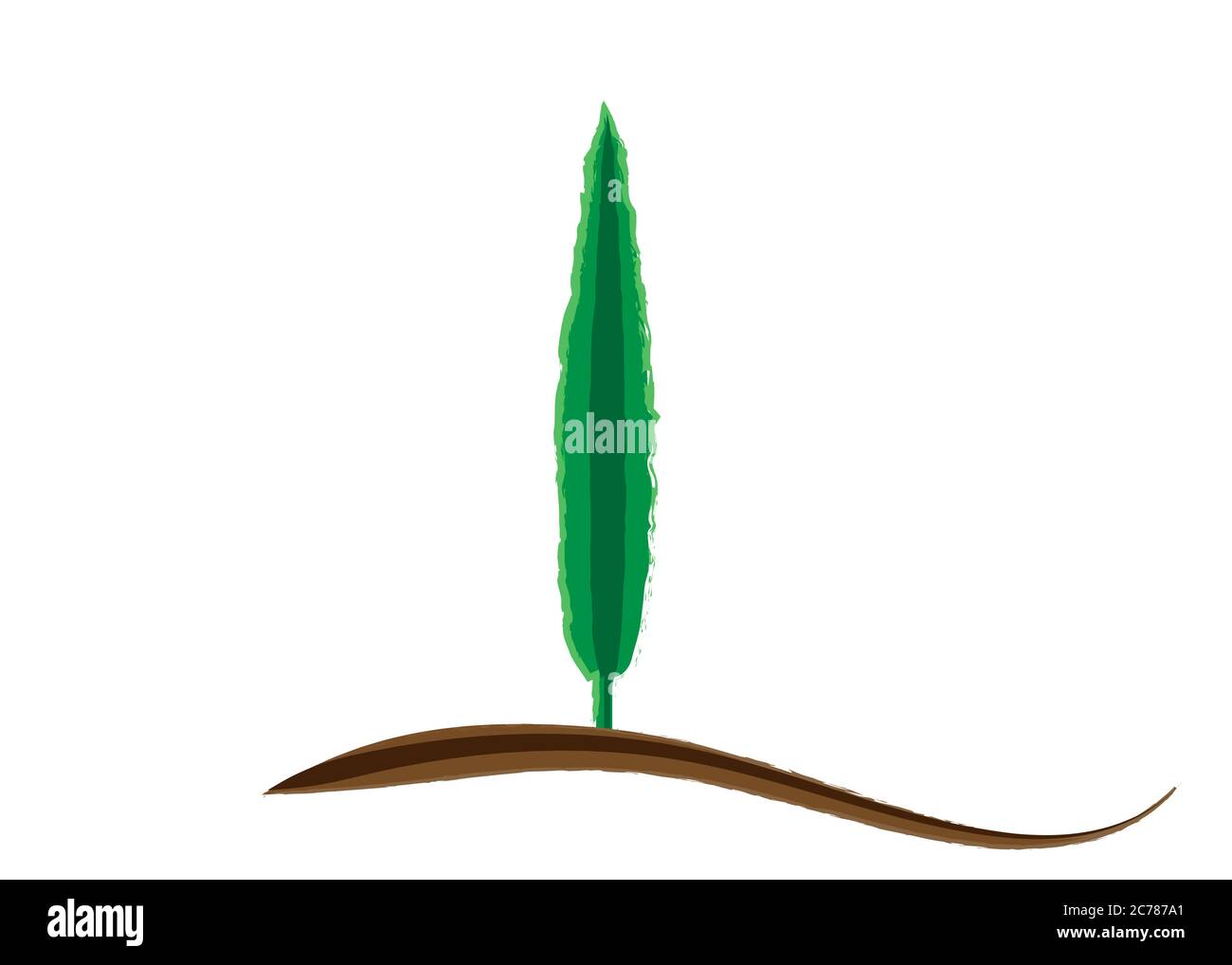 Cypress icon. Simple illustration of cypress vector icon for web ...