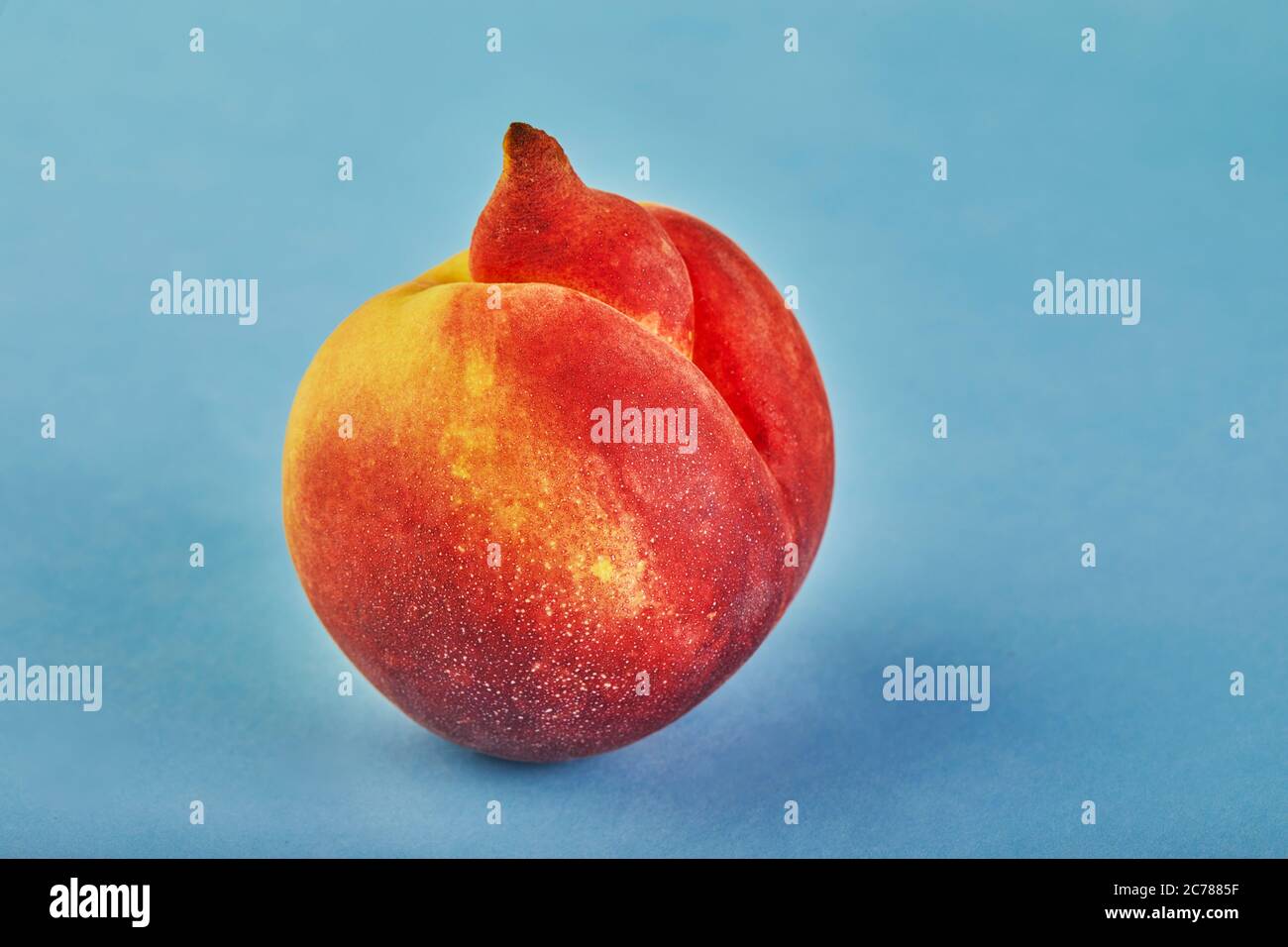 An ugly fruit or vegetable. Very ugly peach mutant on blue background ...