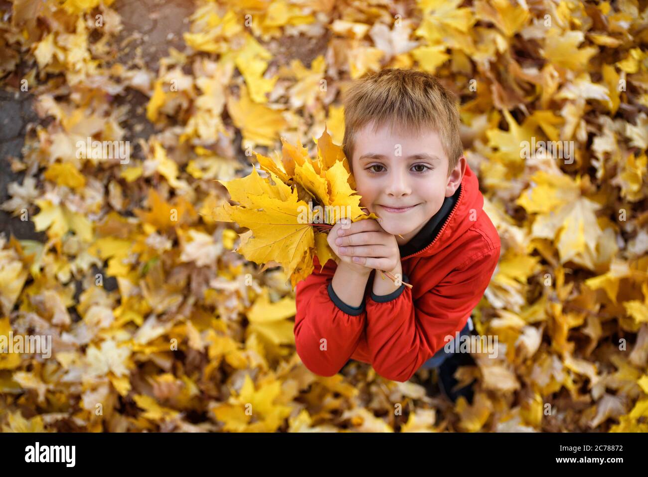 Cute boy with a bouquet of autumn leaves stands and looks up. Top view ...