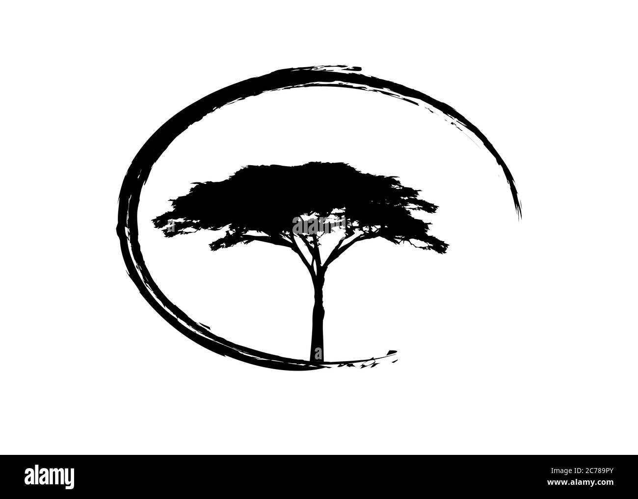 Acacia Tree Logo