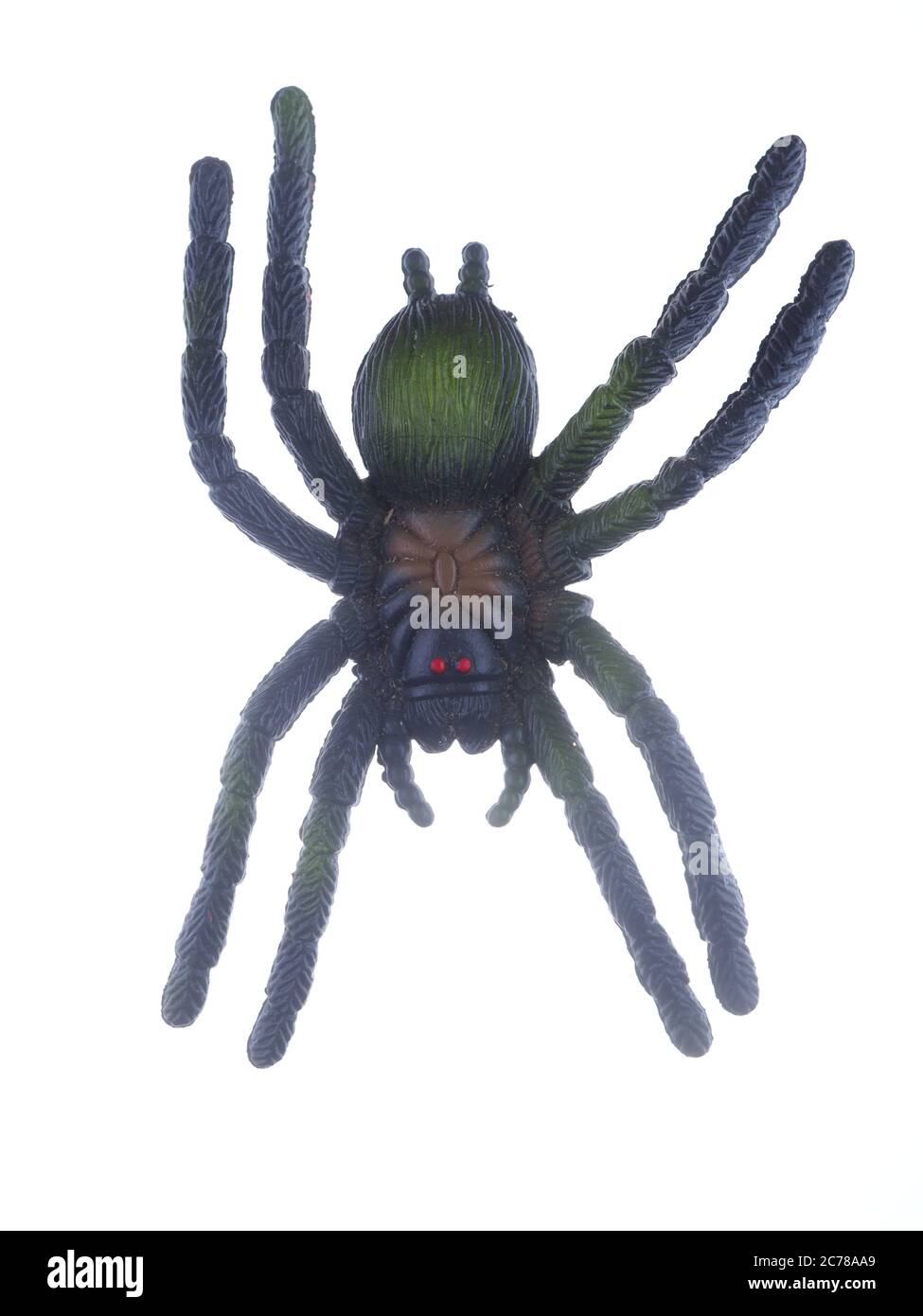 toy spider on a white background Stock Photo - Alamy