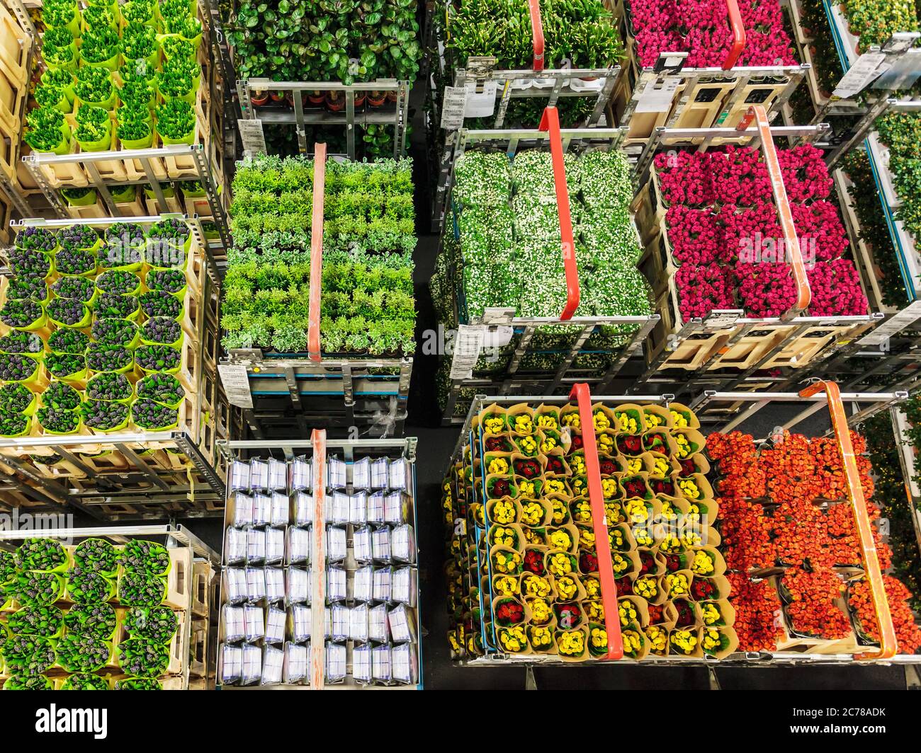 Flower Market Crates