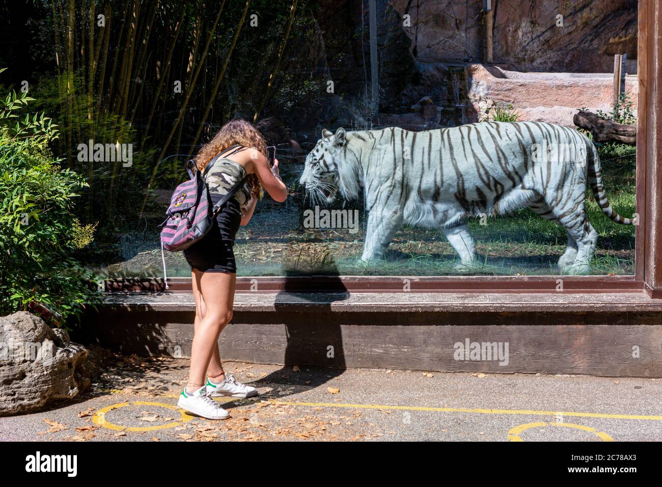 The Tiger Woman High Resolution Stock Photography and Images - Alamy