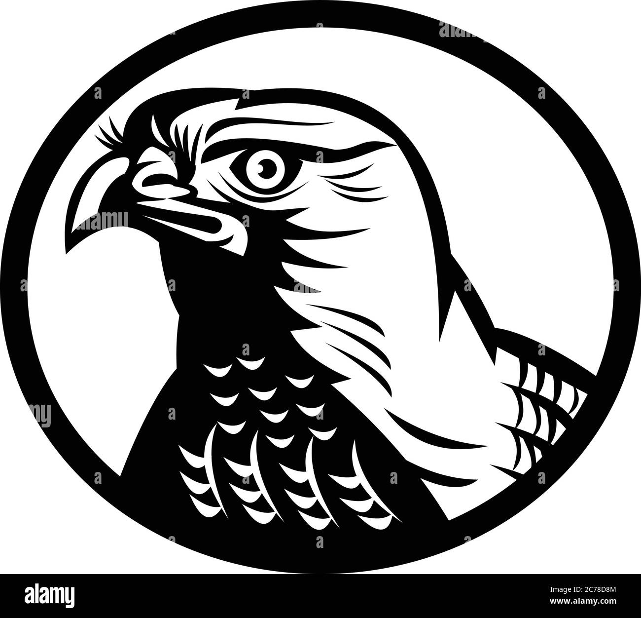 Retro woodcut style illustration of head of a northern goshawk, a ...