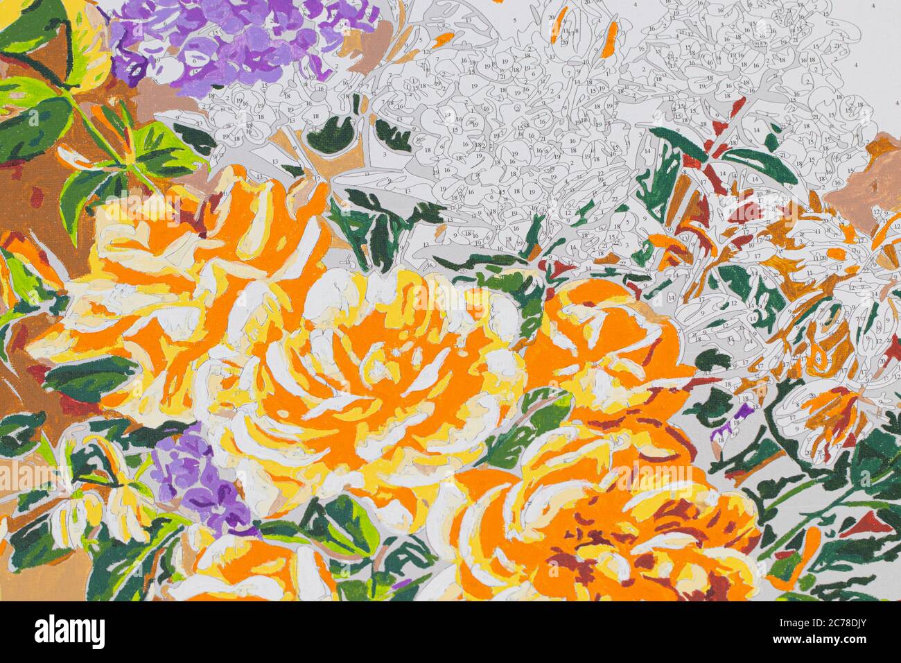 watercolor and coloring by numbers. painting on canvas by numbers Stock ...