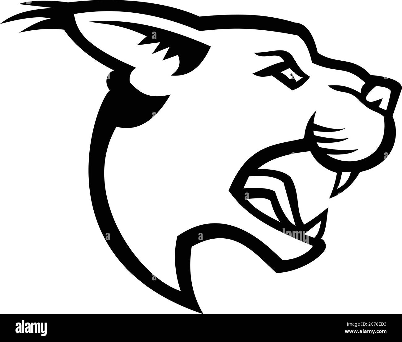Caracal face Black and White Stock Photos & Images - Alamy