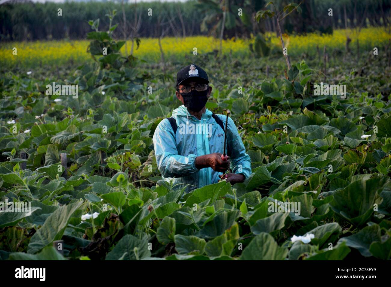 Herbicide people mask hi-res stock photography and images - Alamy