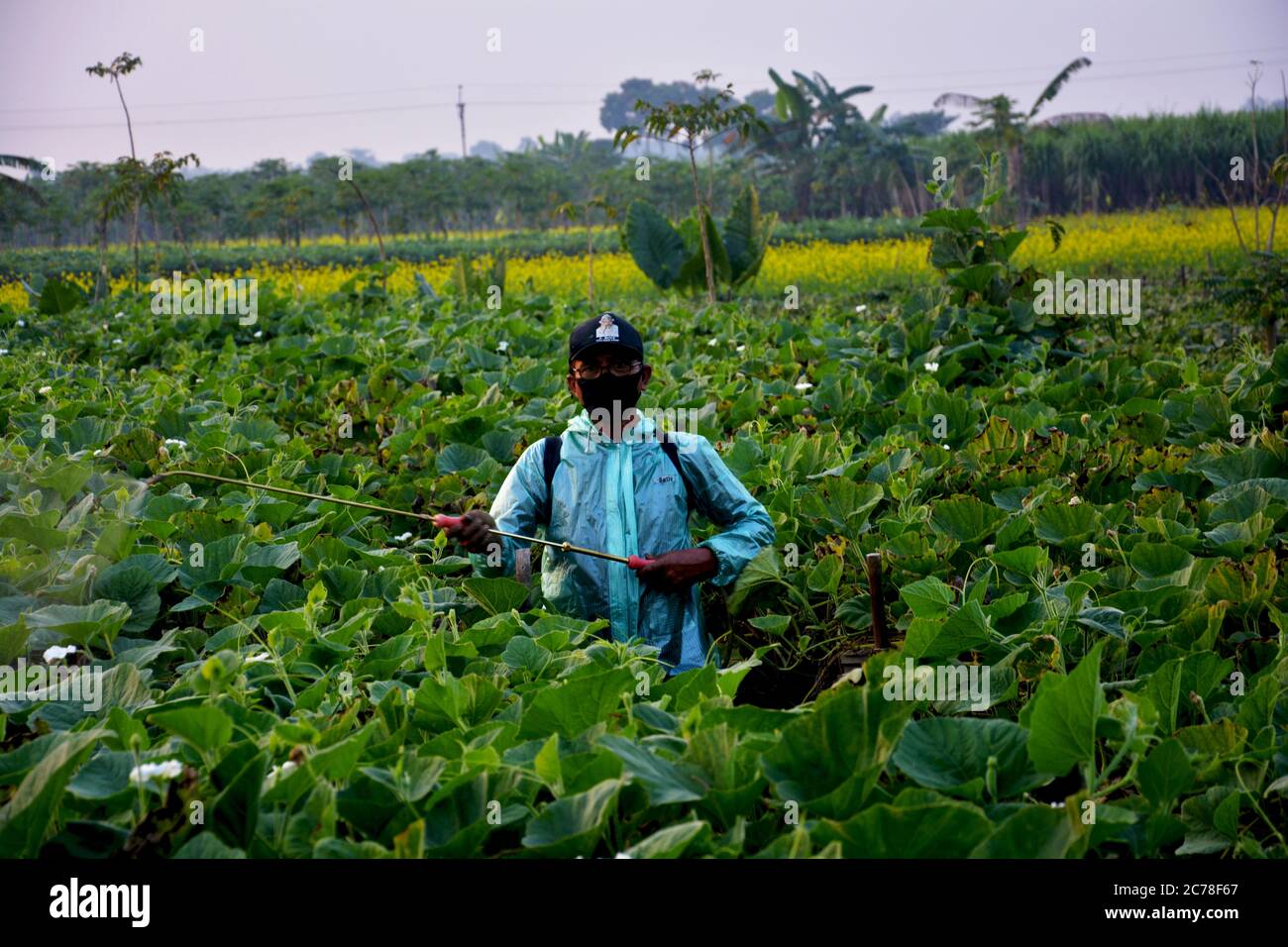 Man spraying pesticides hi-res stock photography and images - Alamy