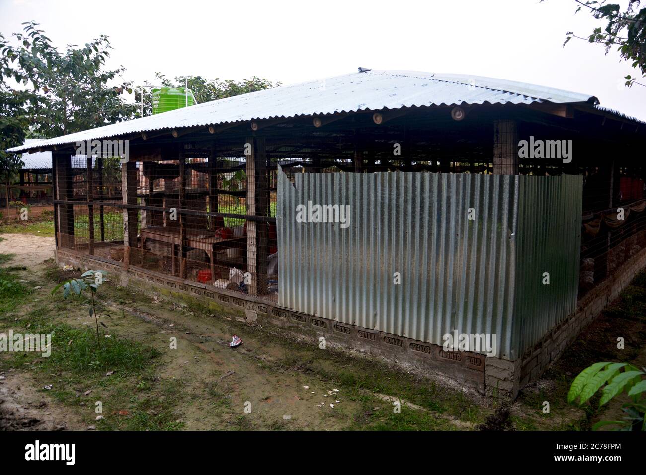 A low cost poultry farm shed made of tin sheets in India, West Bengal ...