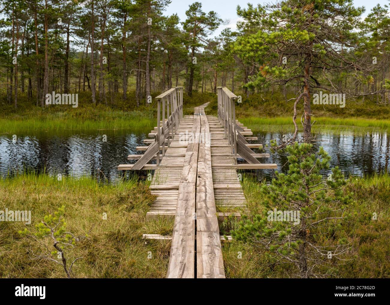 landscape with a wooden construction walking bridge in the middle of ...