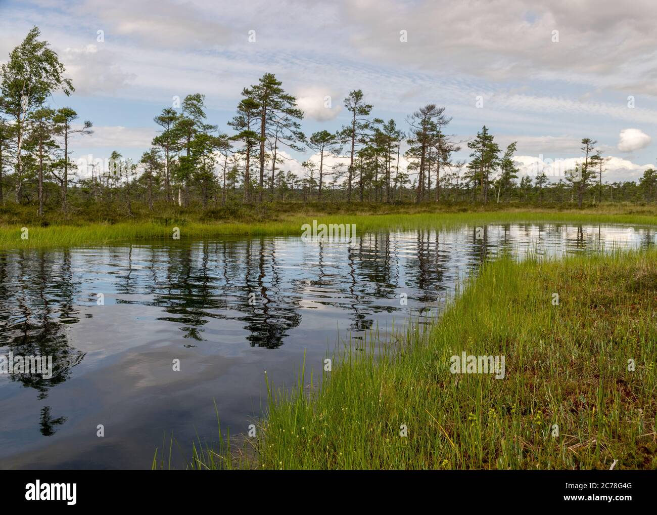 landscape with stunning bog views. beautiful clouds. View of the ...