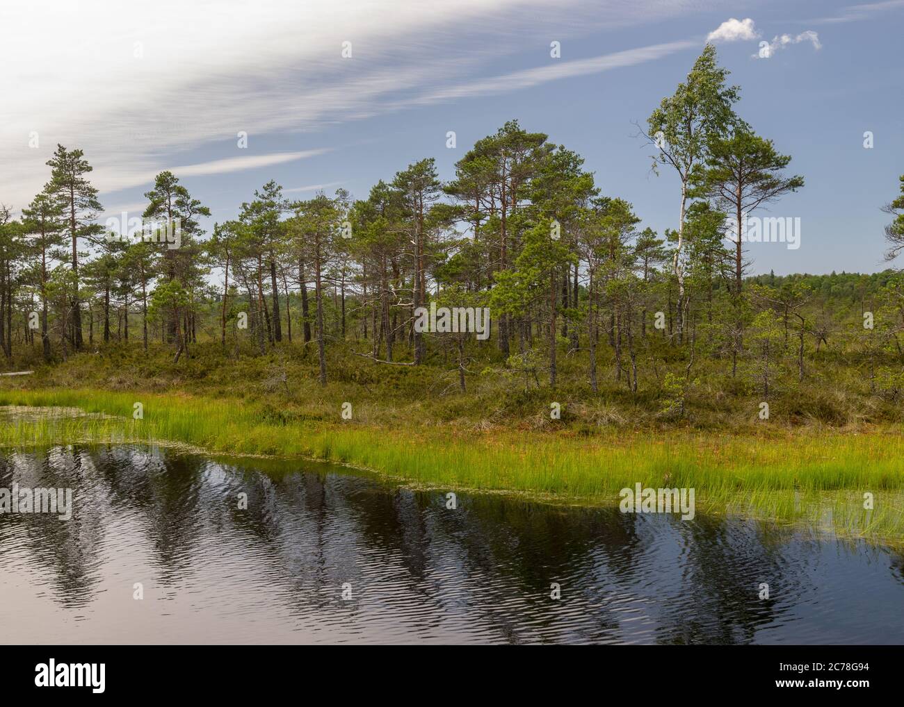 landscape with stunning bog views. beautiful clouds. View of the ...