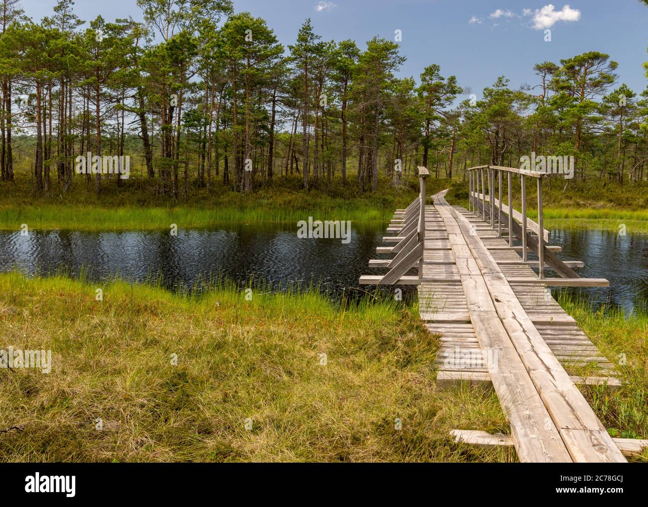 landscape with a wooden construction walking bridge in the middle of ...