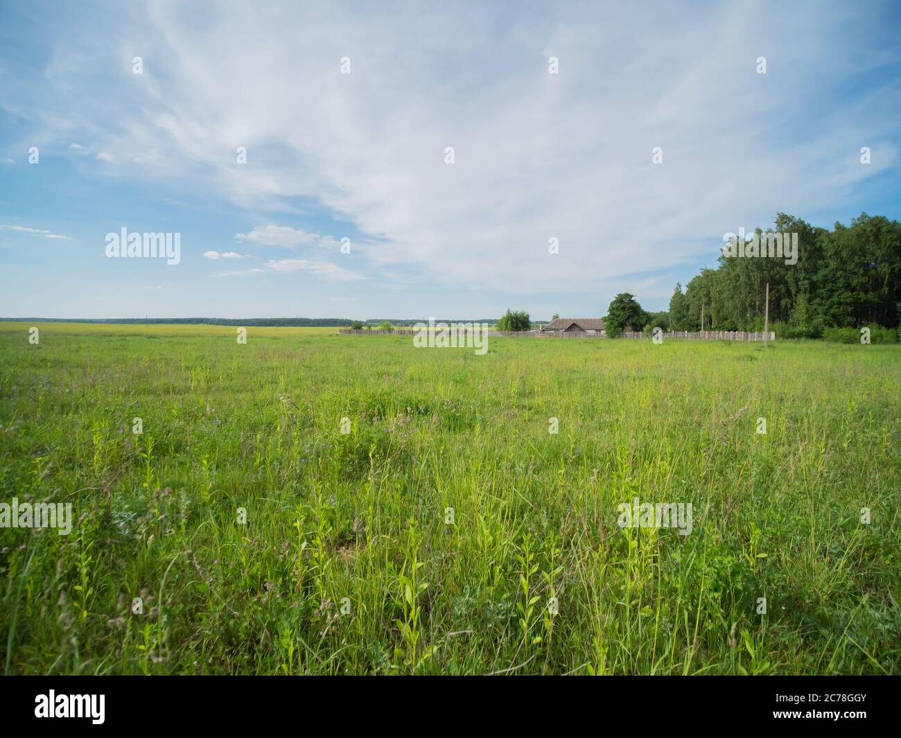 Russian farmhouse on a warm summer day and field in clear weather Stock ...