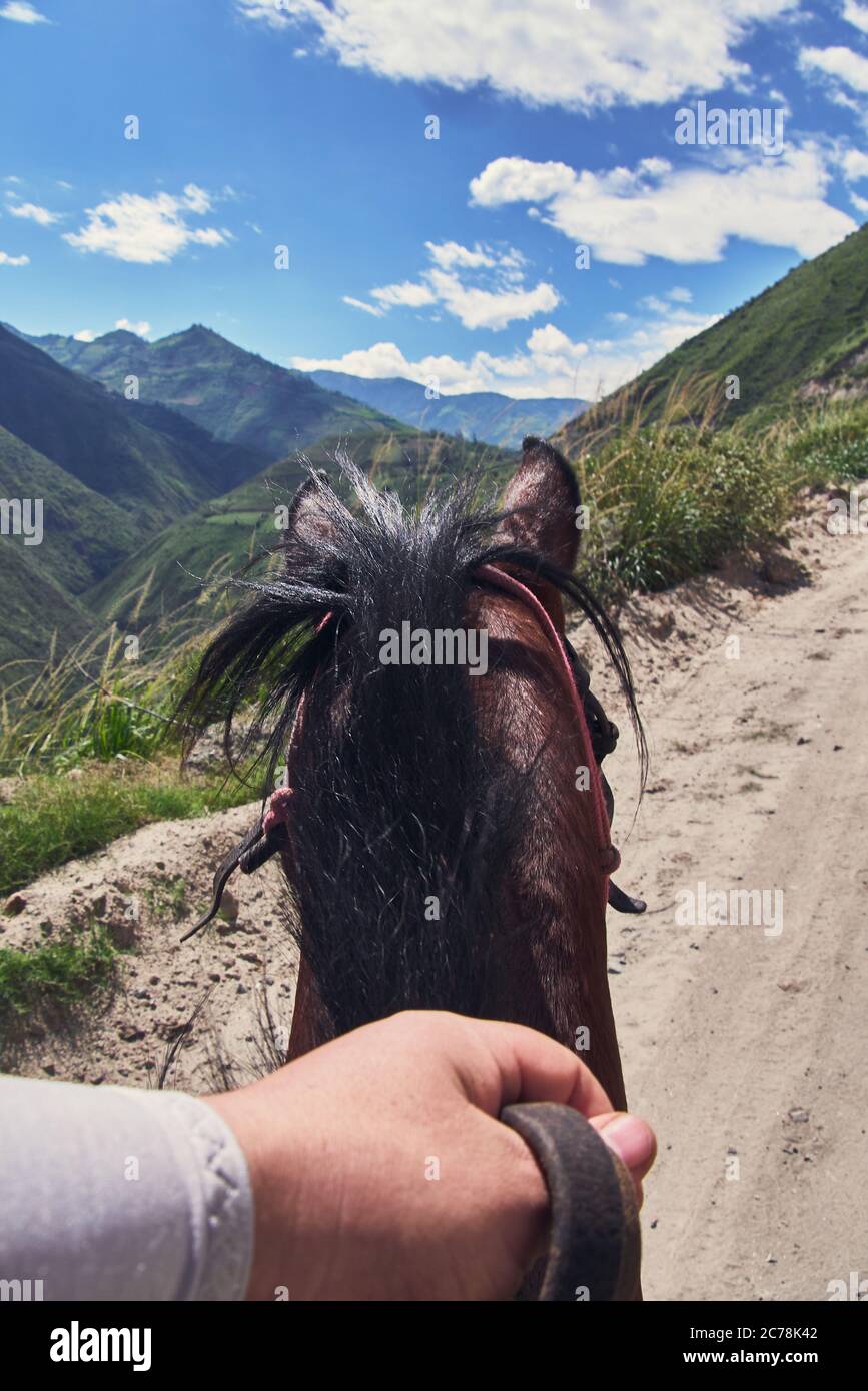Horse riding first person hi-res stock photography and images - Alamy