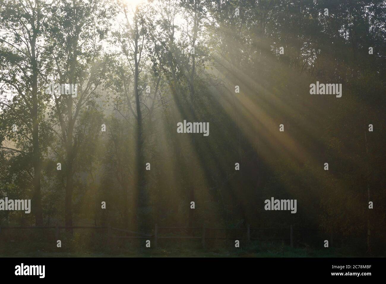 Visible light rays hi-res stock photography and images - Alamy