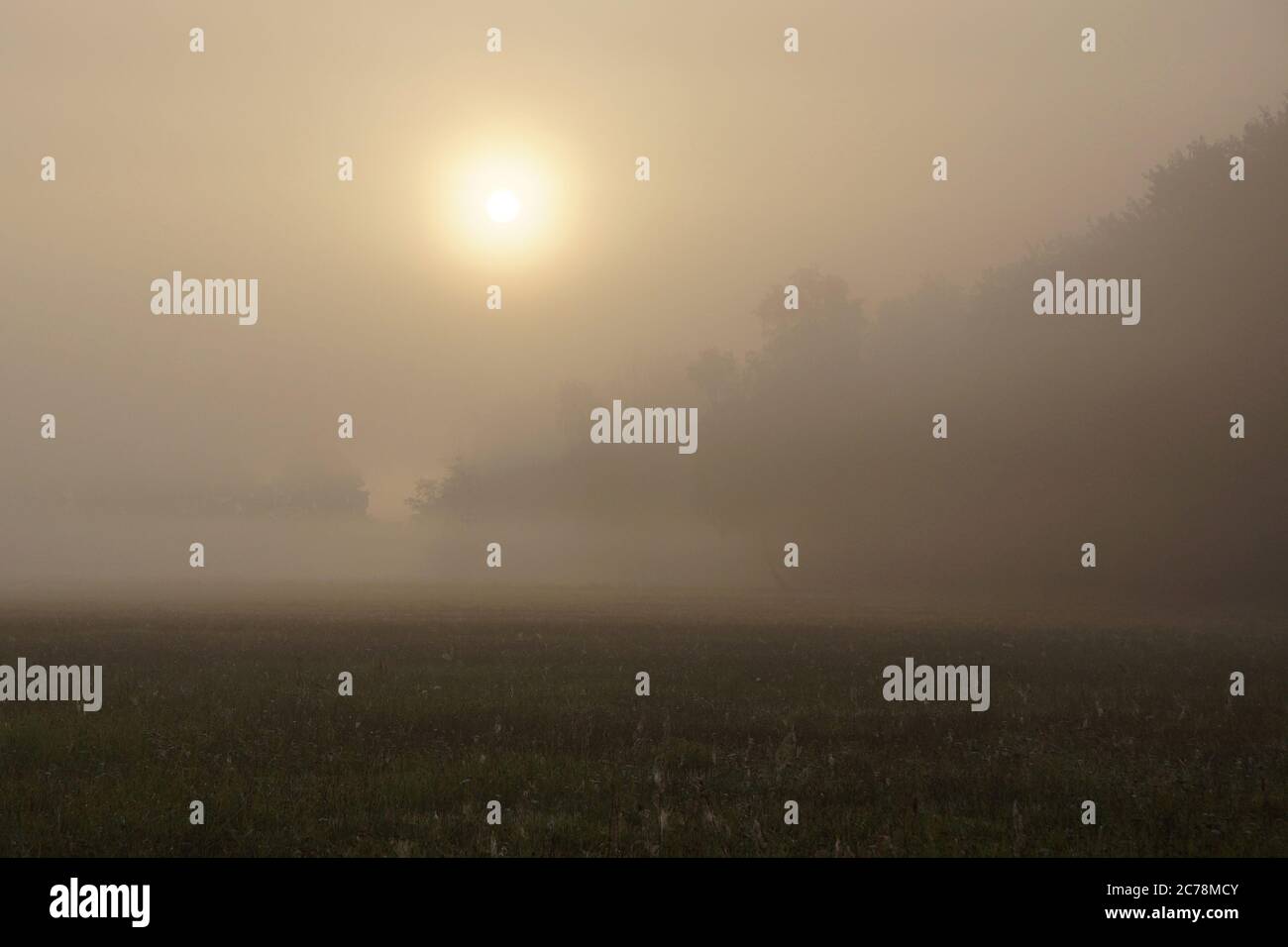 Autumn sunlight seen through hi-res stock photography and images - Alamy