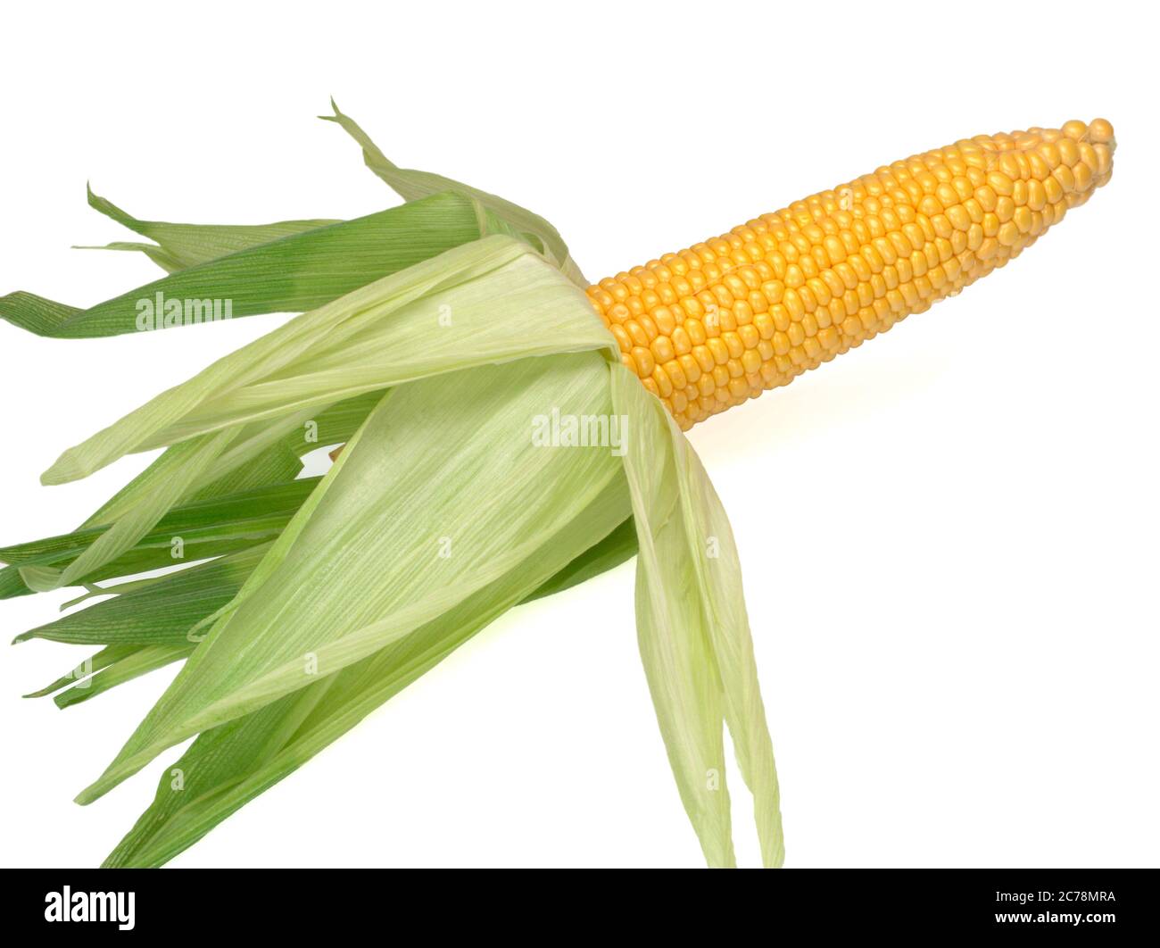 The ear of corn isolated on white background Stock Photo - Alamy