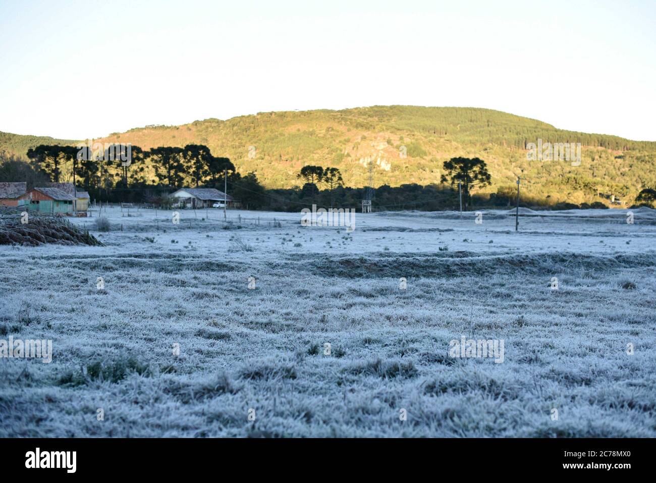 Lages (SC), 15/07/2020 - Clima / Frio - Geada cobre os campos de Lages ...