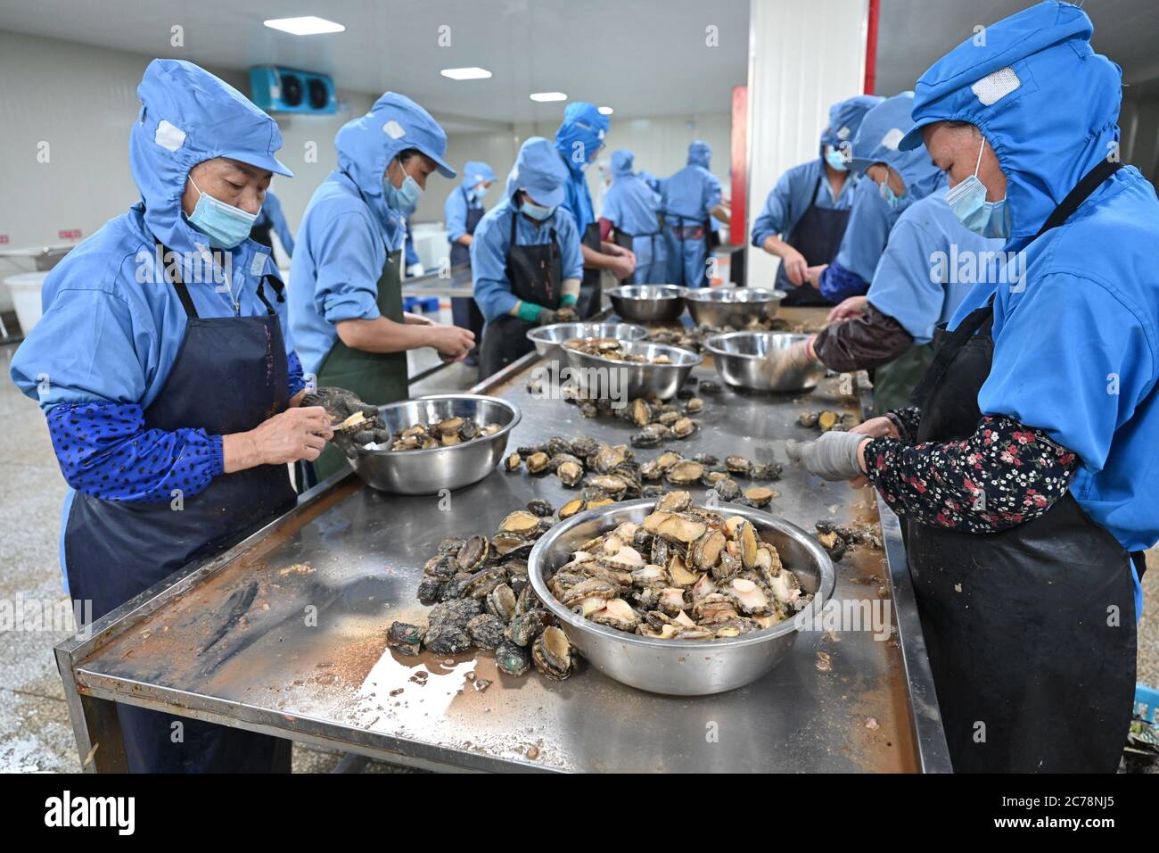 Fuzhou. 14th July, 2020. Workers process abalone at an abalone ...