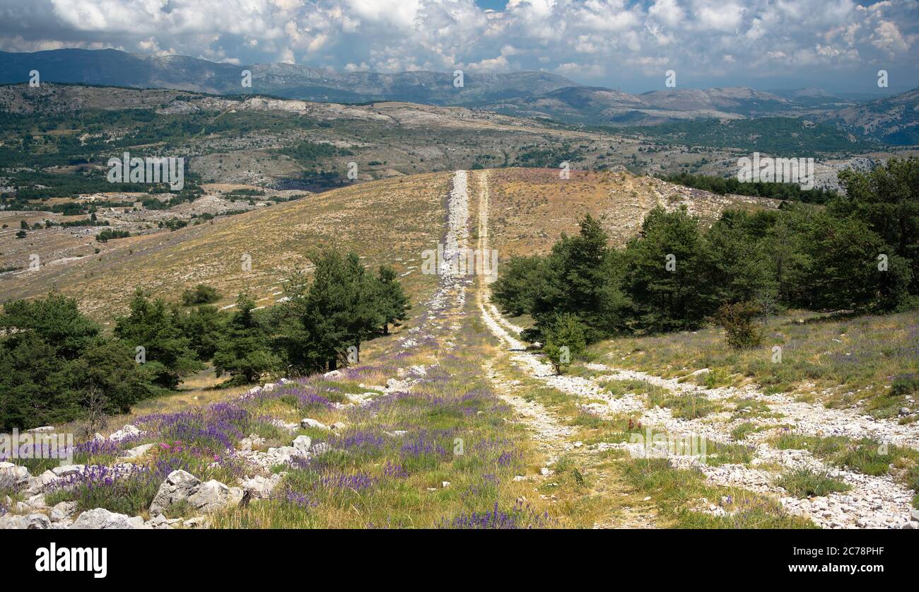 French riviera hiking flowers hi-res stock photography and images - Alamy