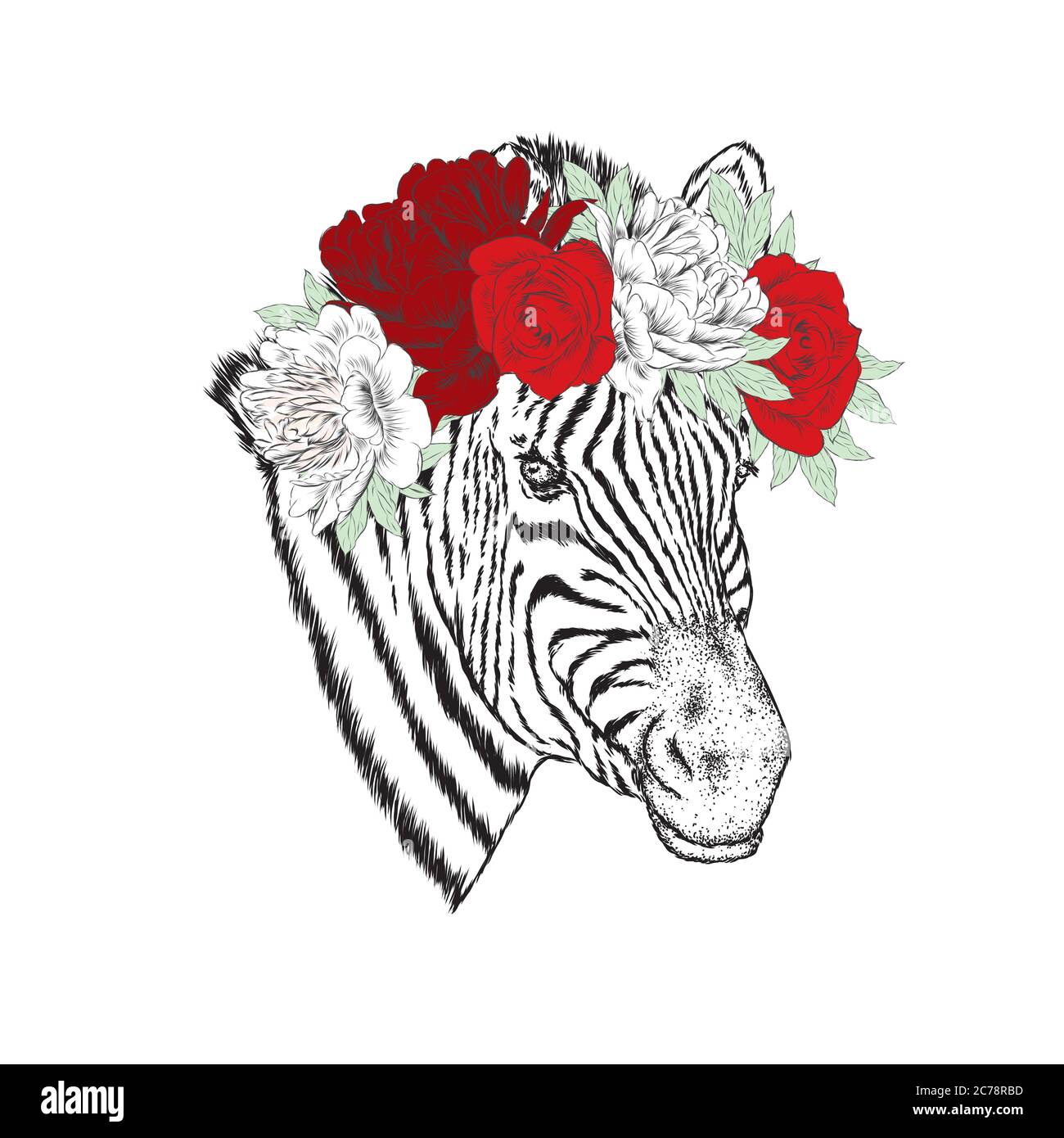 A zebra in a wreath of flowers. Vector illustration Stock Vector Image ...