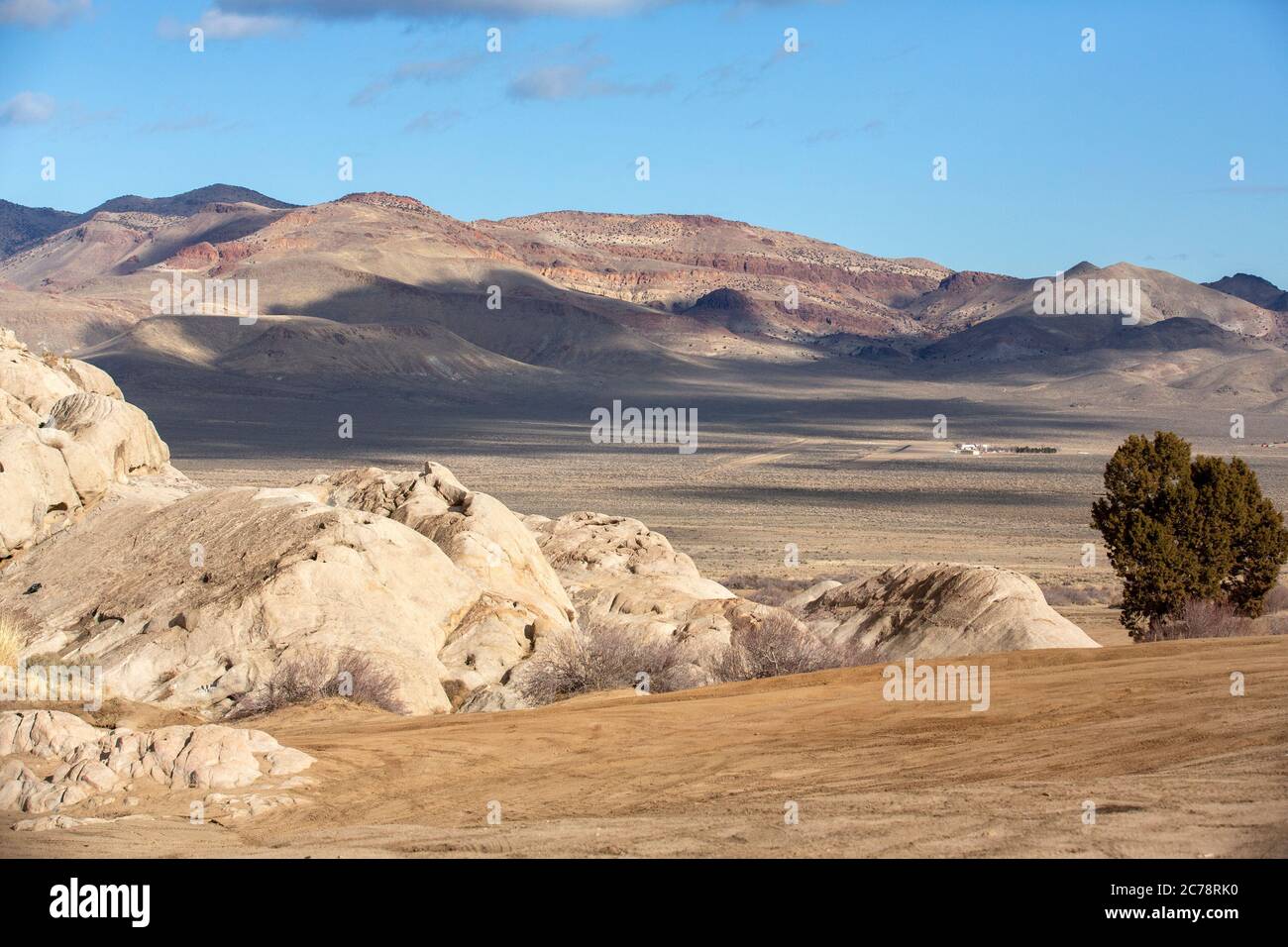 Sunny day among rock fields trees and desert looking out from Moonrocks ...