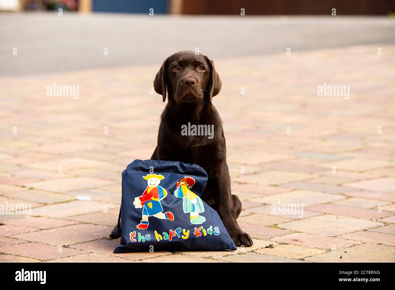 Happy first day of school hi-res stock photography and images - Alamy