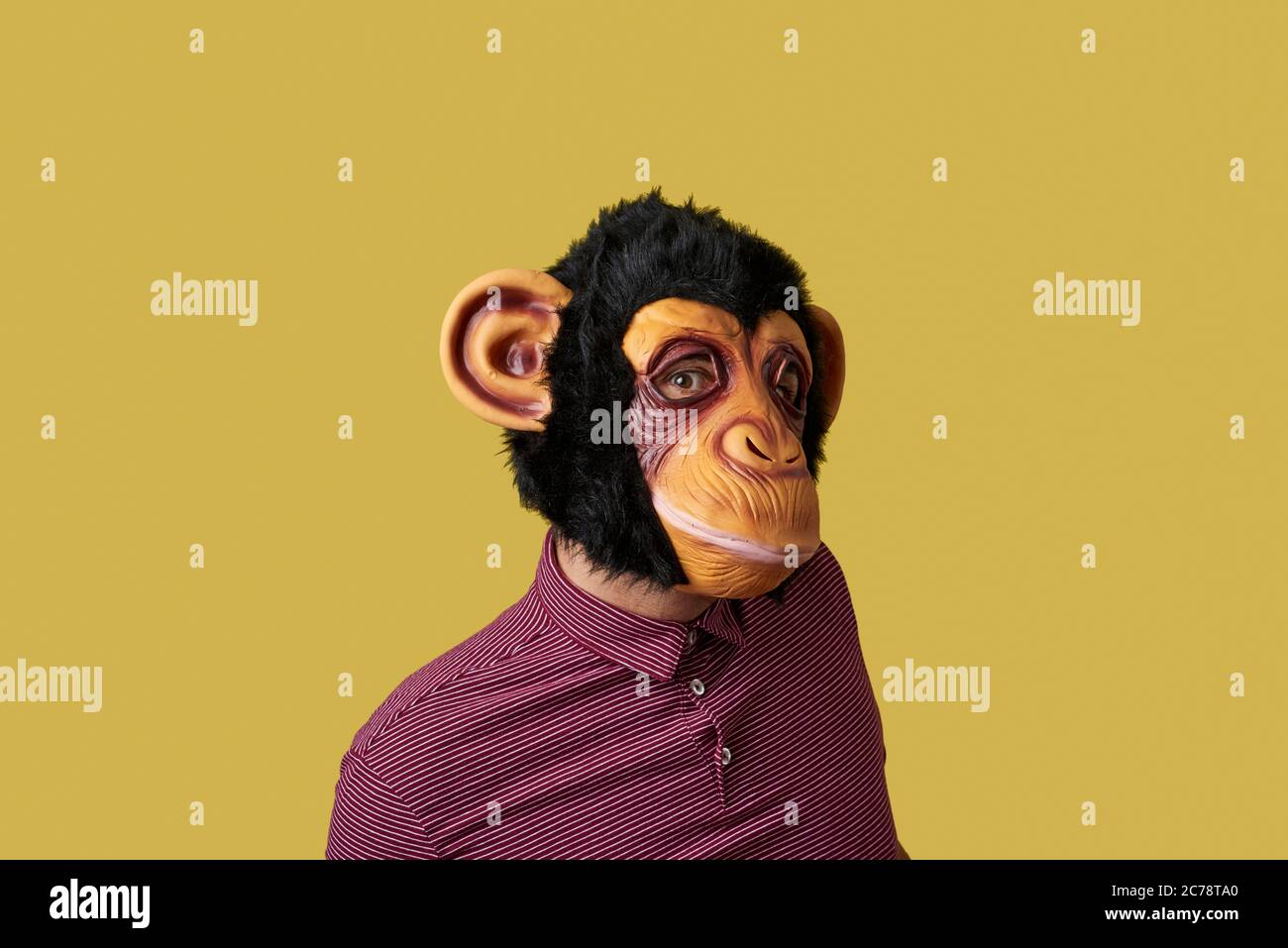 man wearing a monkey mask on a yellow background with some blank space ...