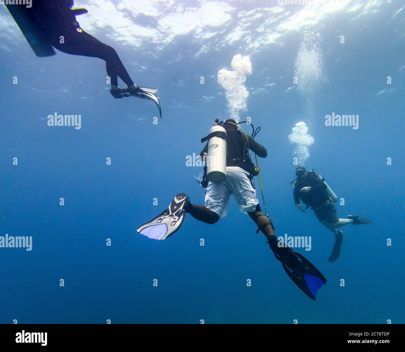 Scuba divers underwater, Silk Caye, Placencia, Belize Stock Photo - Alamy