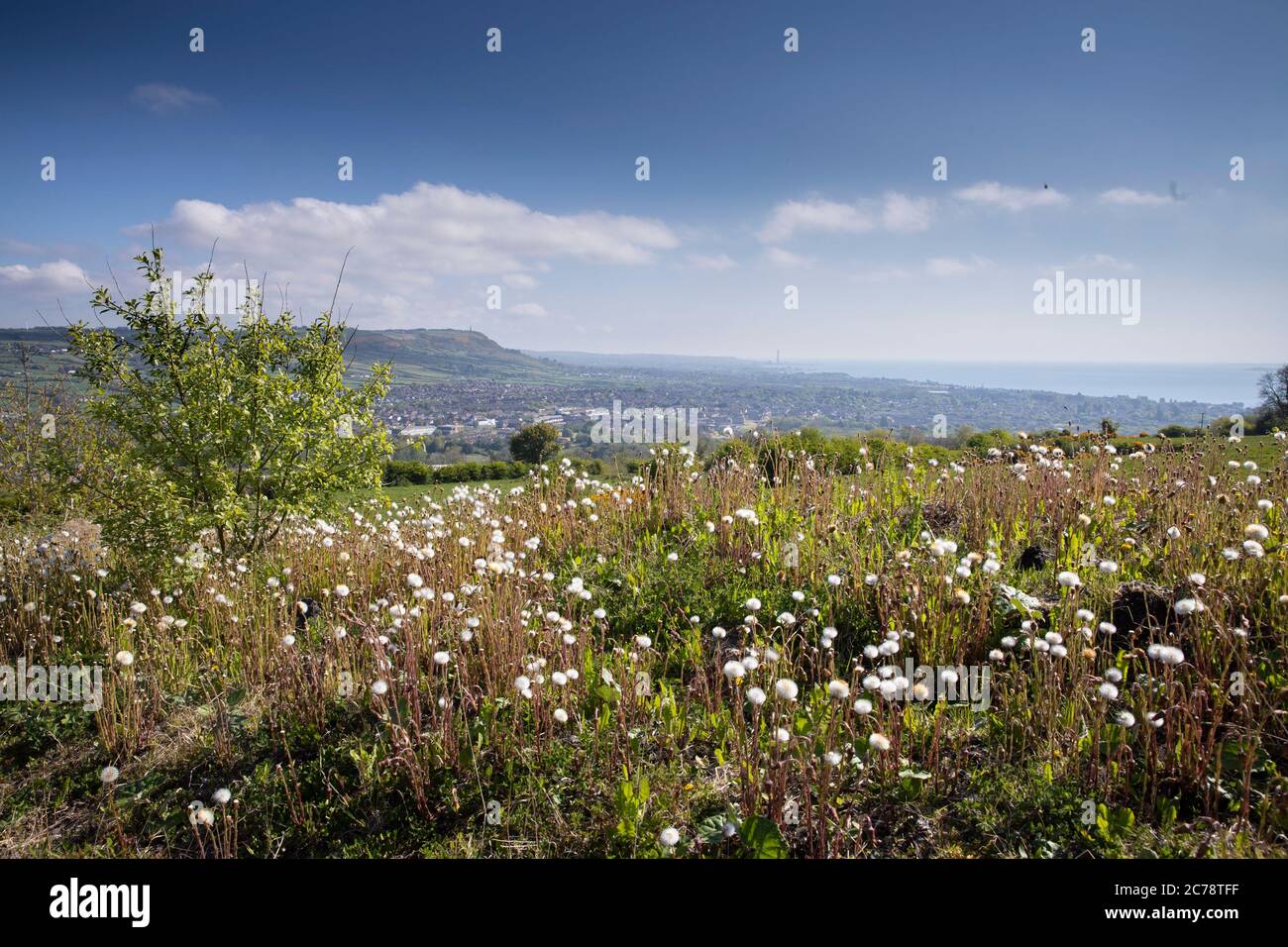 Carnmoney hi-res stock photography and images - Alamy