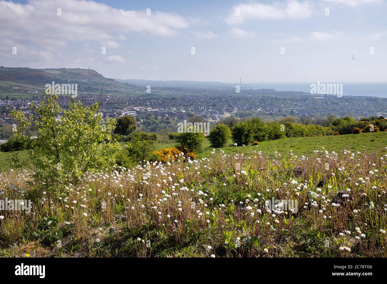 View from Carnmoney Hill Stock Photo - Alamy
