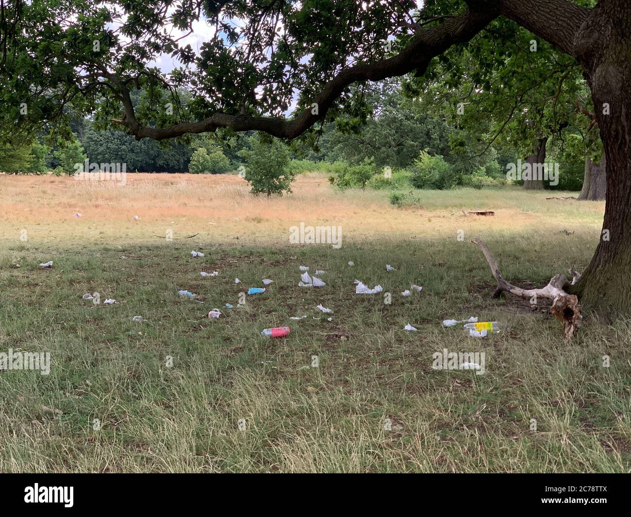 Beauty spot and litter hi-res stock photography and images - Alamy