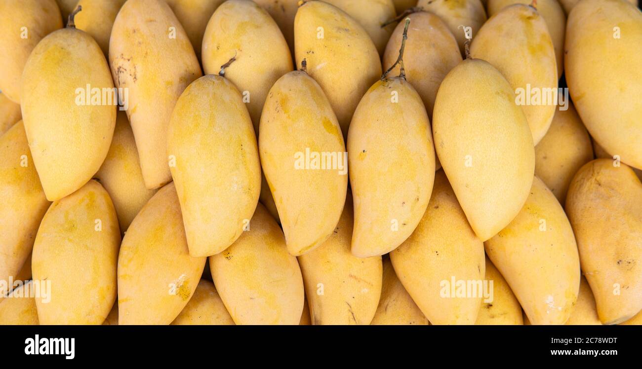 selling fresh mangoes in a market in Asia. Mango is the most popular ...