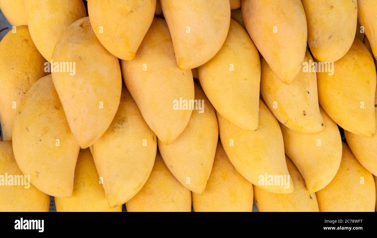 selling fresh mangoes in a market in Asia. Mango is the most popular ...