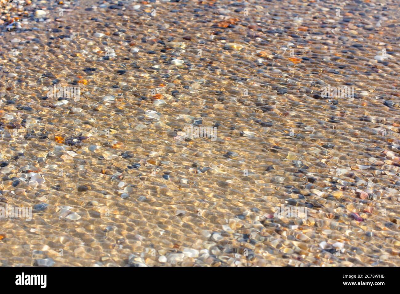 Transparent water ripples . Shells on the Sea Bottom Stock Photo - Alamy