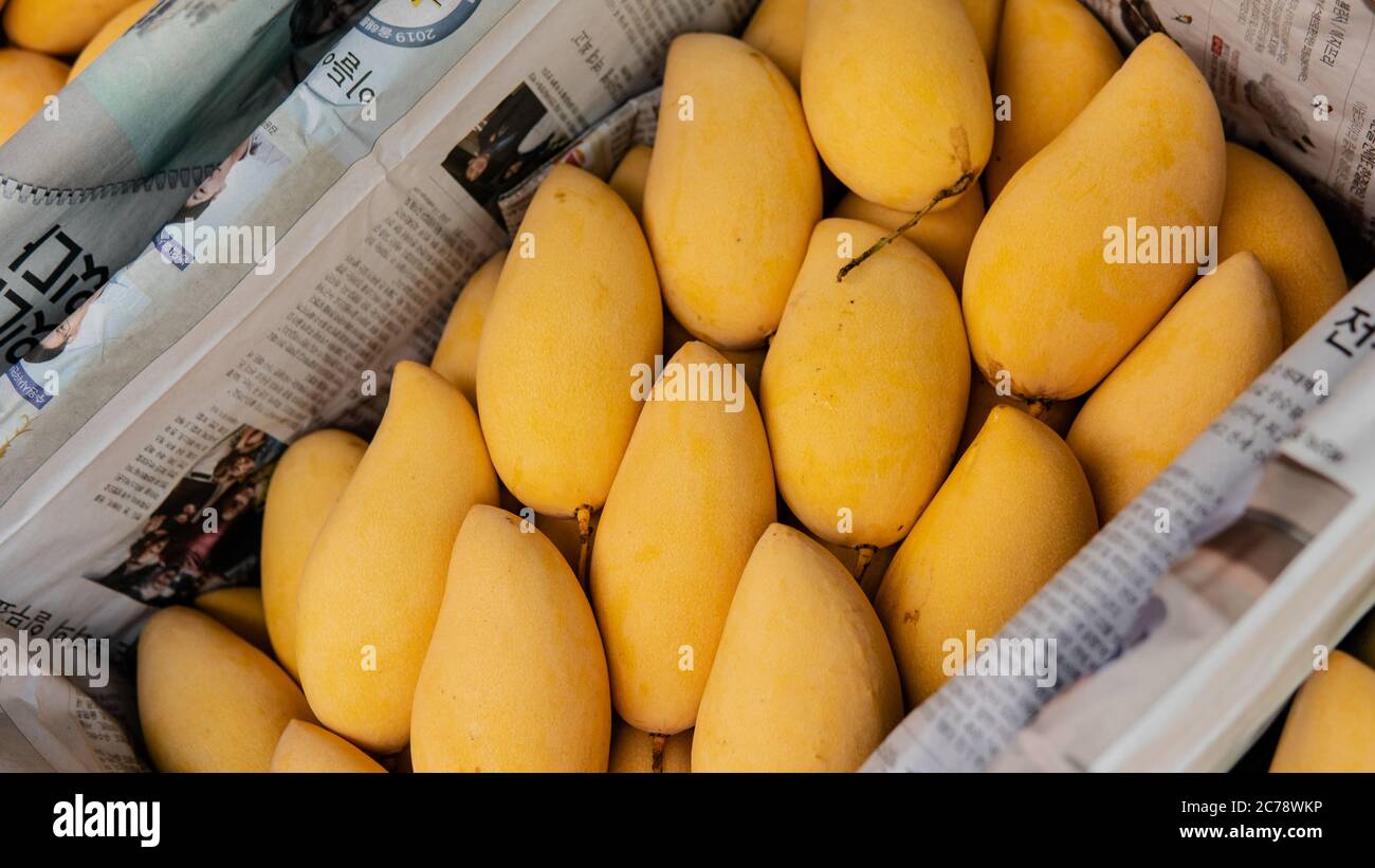 selling fresh mangoes in a market in Asia. Mango is the most popular ...