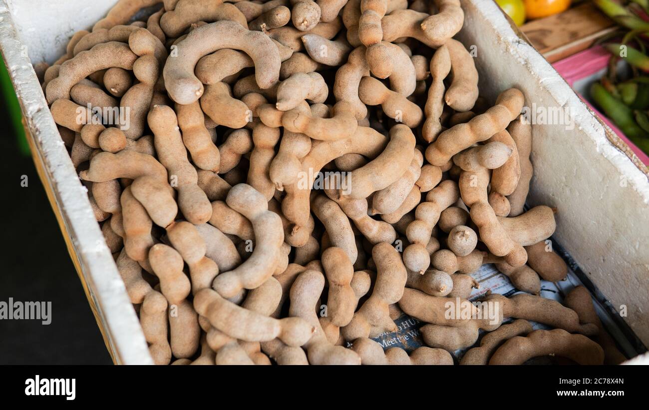 exotic fruits of Asia - Tamarind. Tamarind in cooking and healthy ...
