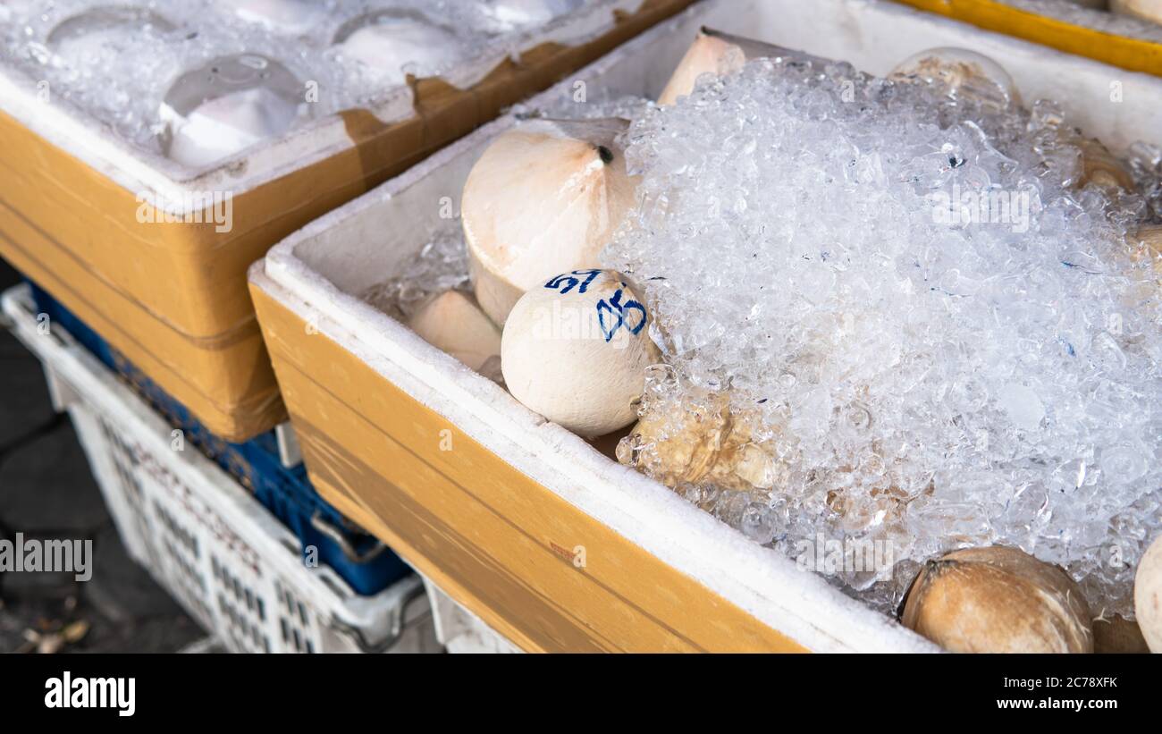 sale of coconuts in the fruit markets of Asia. Benefits of Coconut Milk ...
