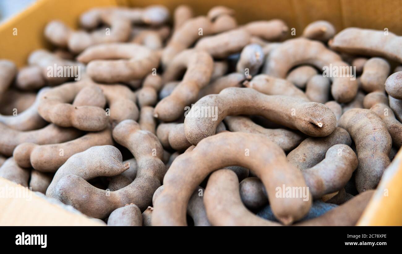 exotic fruits of Asia - Tamarind. Tamarind in cooking and healthy ...